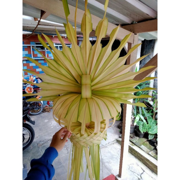 Jual Janur kuning asli Pernikahan/Khitanan | Shopee Indonesia