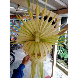 Jual janur kuning pernikahan Harga Terbaik & Termurah Desember 2025 ...