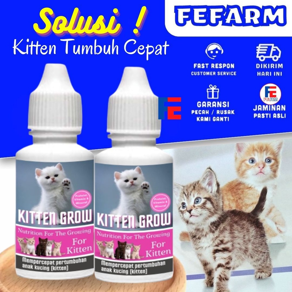 Jual Obat Vitamin Anak Kucing Nutrisi Pertumbuhan Anak Kucing Kitten ...