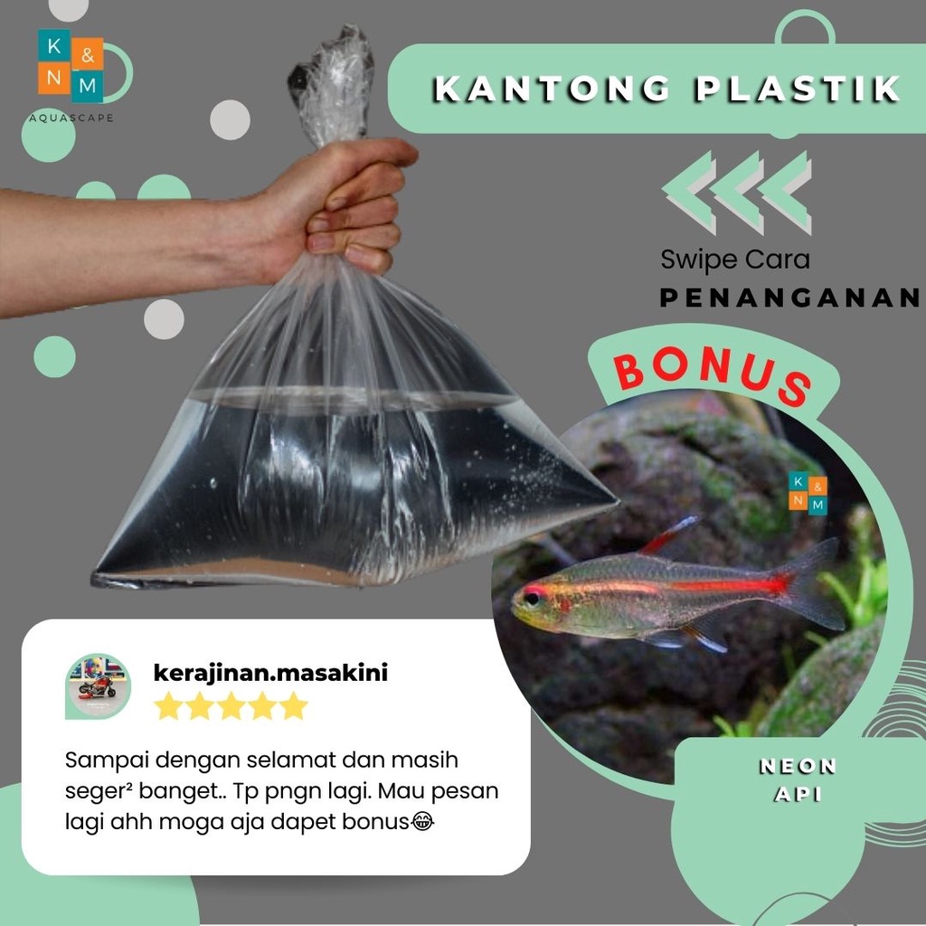 Jual Kantong Plastik Free Neon Api Ornamen Aquarium Aquascape Akuarium ...