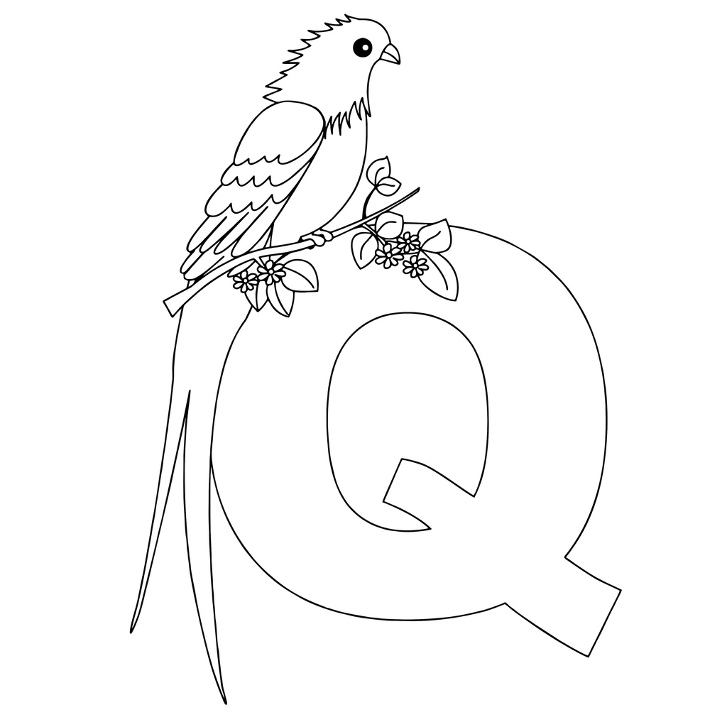 Jual Gambar Sketsa Mewarnai ~ ABJAD - ALPHABET/ Seketsa Lukis / Drawing ...