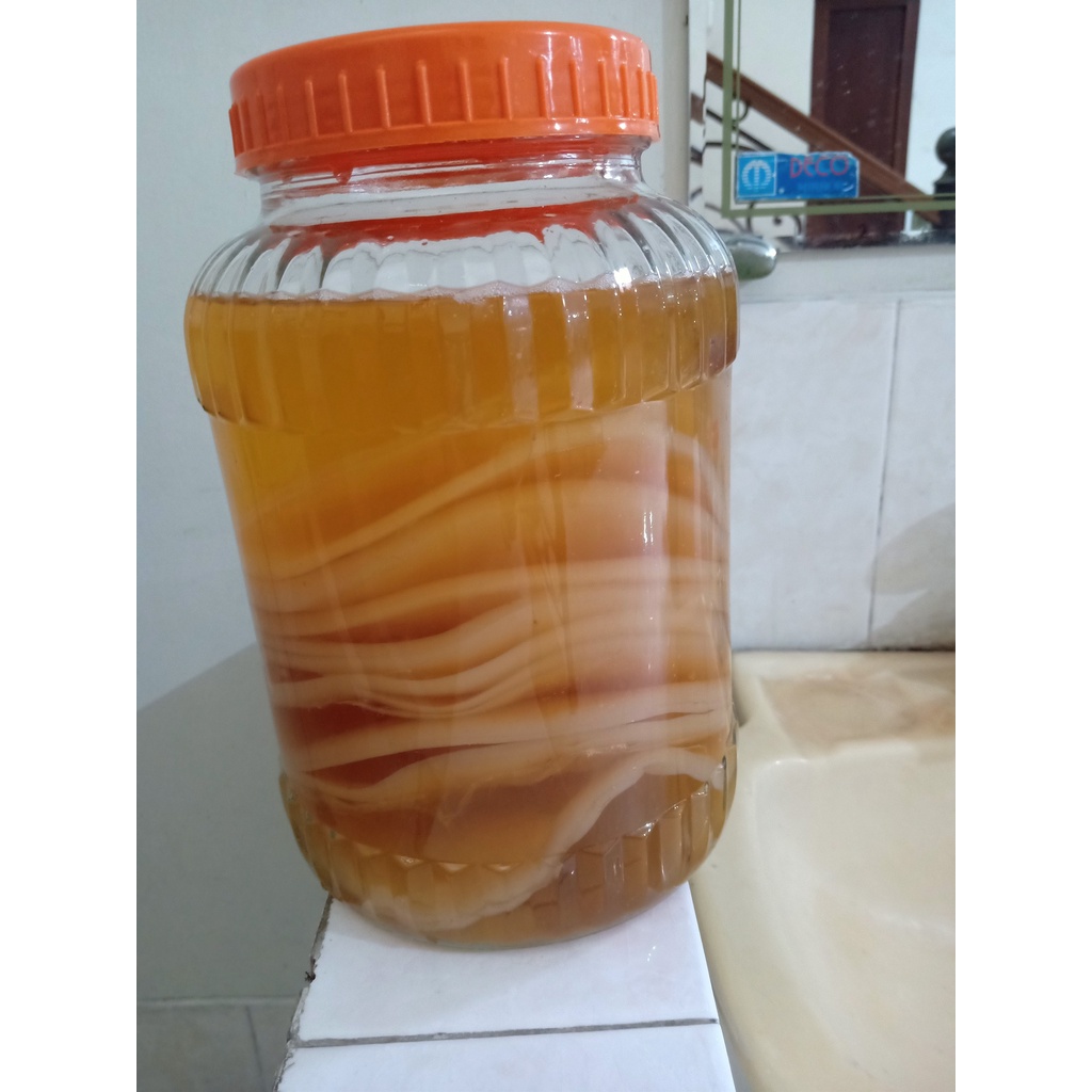 Jual Promo Murah Scooby & Kombucha Bonus Air Starter Beli 4 Free 1 ...