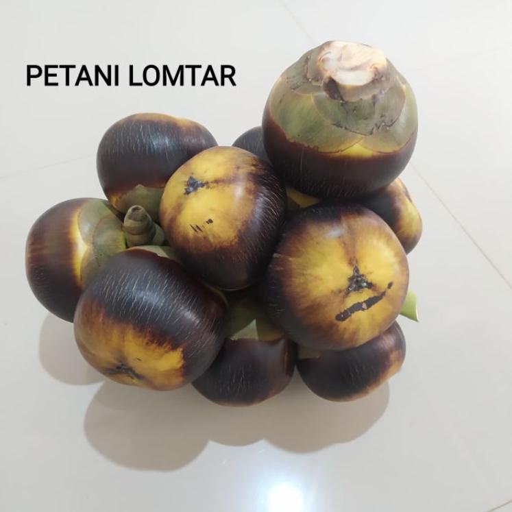 Jual TERBARU BUAH LONTAR / SIWALAN 1 buah bulat ( isi 3 biji ) | Shopee ...