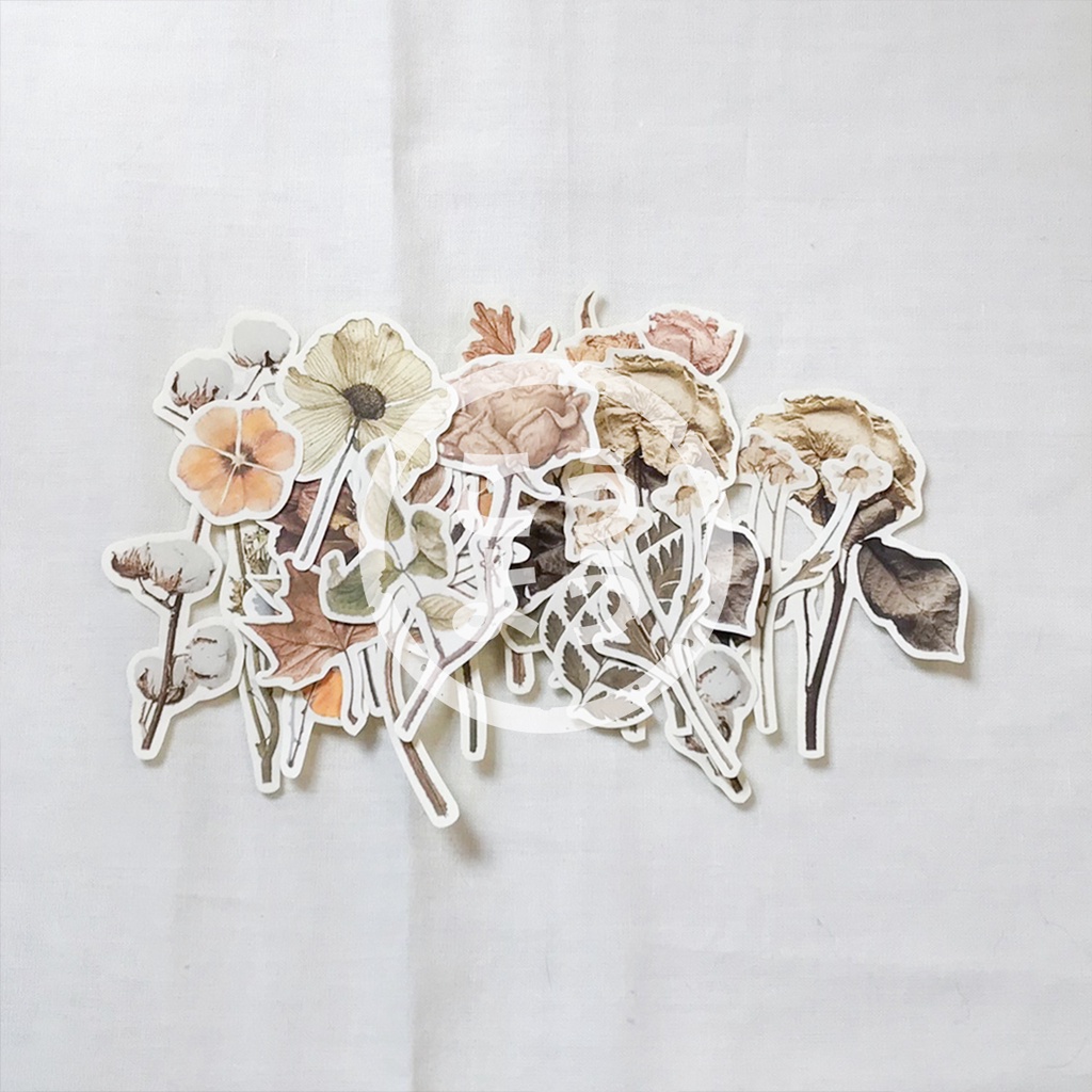 Jual 34 pcs Stiker Gambar Bunga Kering untuk Jurnal / Scrapbook (Pack P ...