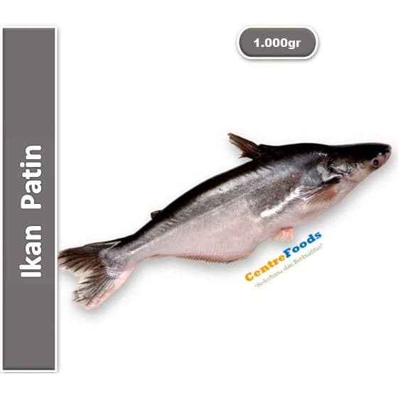 Jual Ikan Patin - Patin Siam Fresh | 1.000gr [ Harga Per KG ] | Shopee ...