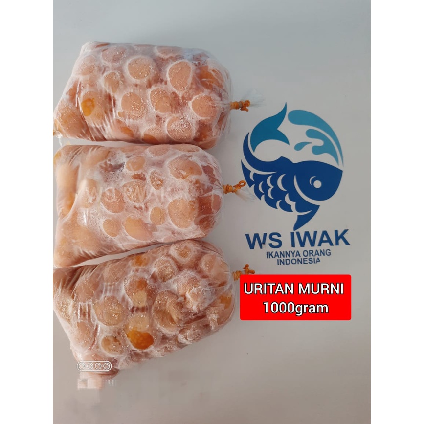 Jual TELUR MUDA / URITAN MURNI 500GR | Shopee Indonesia
