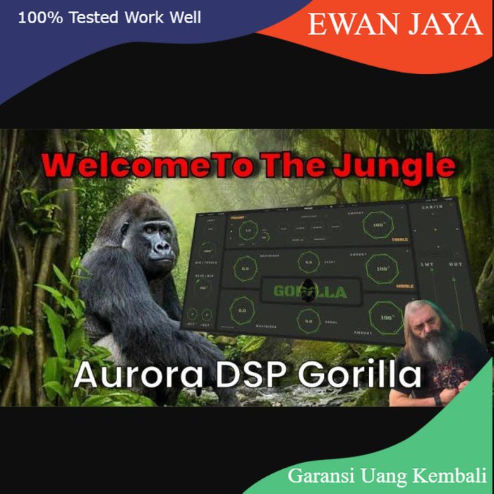 Jual Aurora Dsp Gorilla VST Bass Amplifier standalone Plugin | Shopee ...