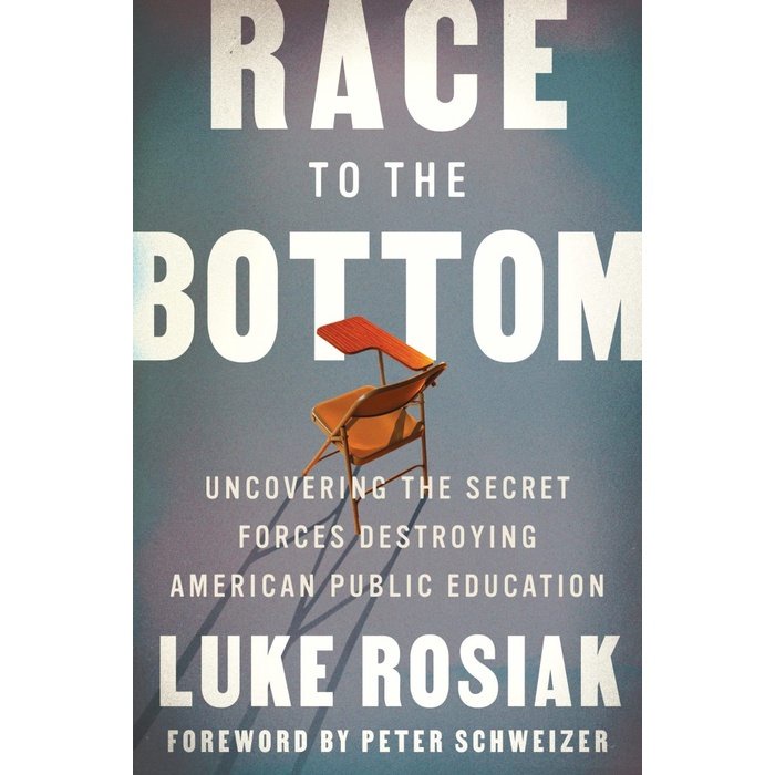 Jual Race to the Bottom : Uncovering the Secret Forces Destroying ...