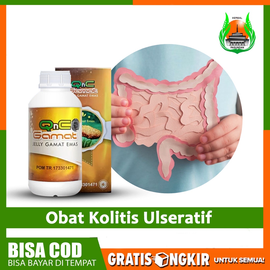 Jual Obat Herbal Kolitis Ulseratif Radang Usus Besar Kram Perut QnC ...