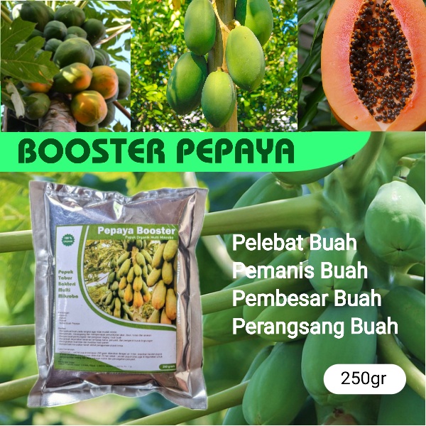 Jual Pupuk Pelebat Buah Pepaya Booster Organik Agar Cepat Berbuah Dan Anti Rontok | Shopee Indonesia