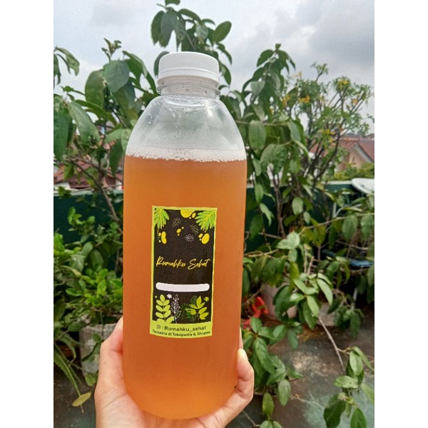 Jual kombucha original 1 liter, (khusus pengiriman sameday dan instan ...