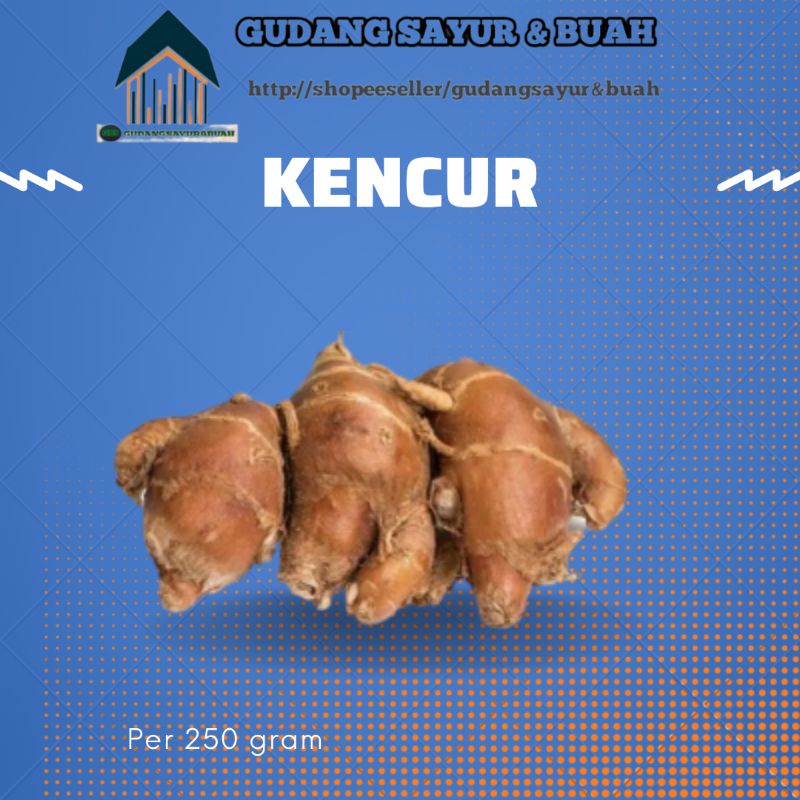 Jual Kencur 250 Gram | Shopee Indonesia