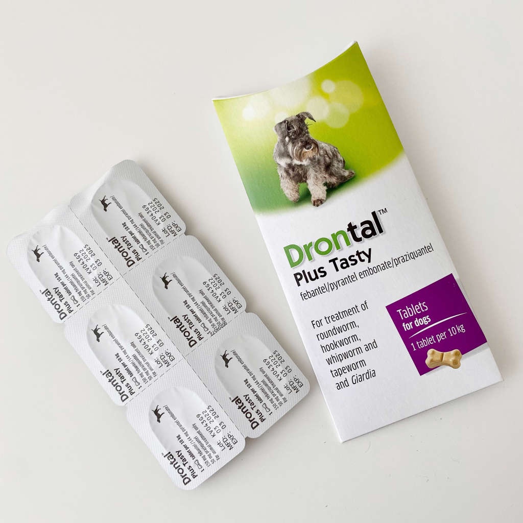 Jual WOOFIDOO Drontal Plus Tasty Dog (Per Tablet) Original Obat ...