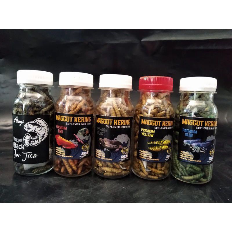 Jual Maggot carophyll Super new premium yellow pelet channa maggot ...