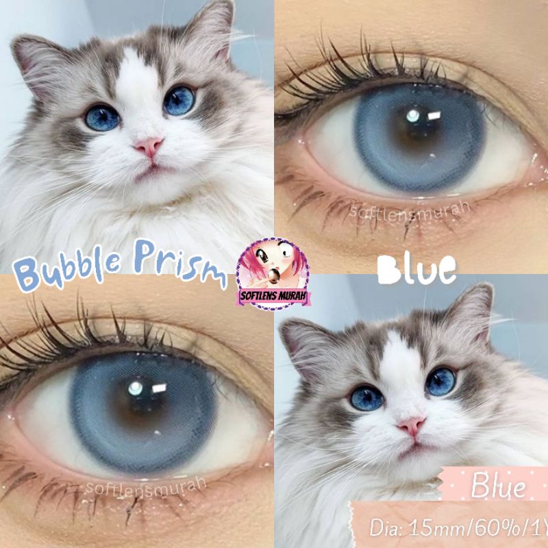 Jual ORIGINAL Bubble prism Blue original softlens korea softlens biru ...