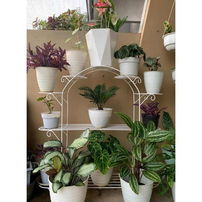 Jual 1METER X 1 METER/NEWQQ13/STANDING POT BESI/RAK BUNGA BESI/RAK ...