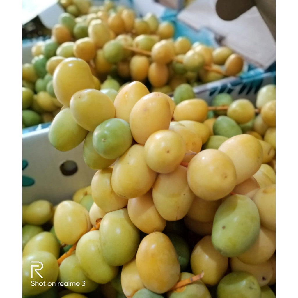 Jual 250 Gram Kurma Muda FRESH NO FROZEN Kurmud Segar Original 250g ...