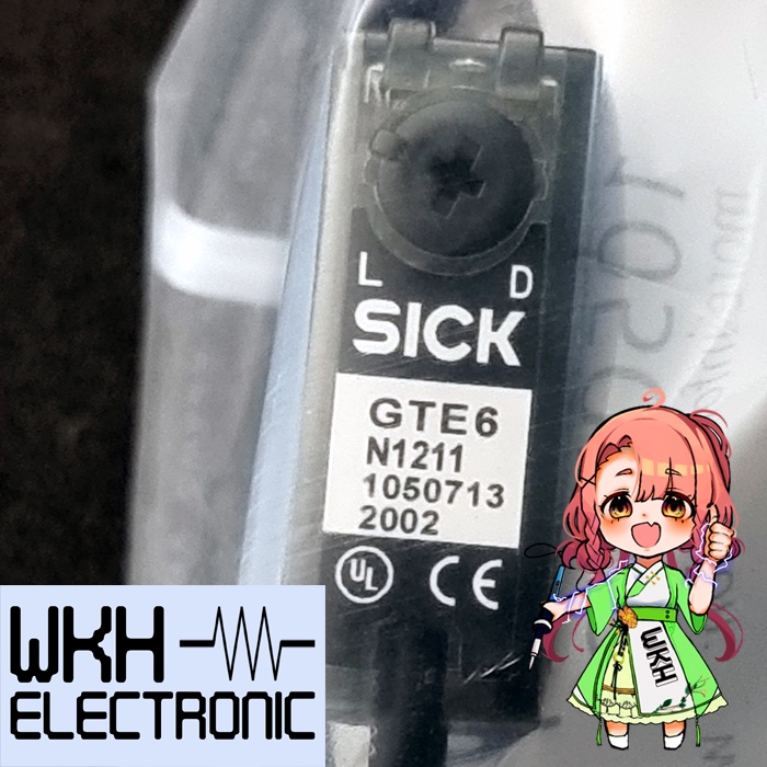 Jual GTE6-N1211 SICK Photoelectric Sensor GTE6N1211 GTE6 N1211 | Shopee Indonesia