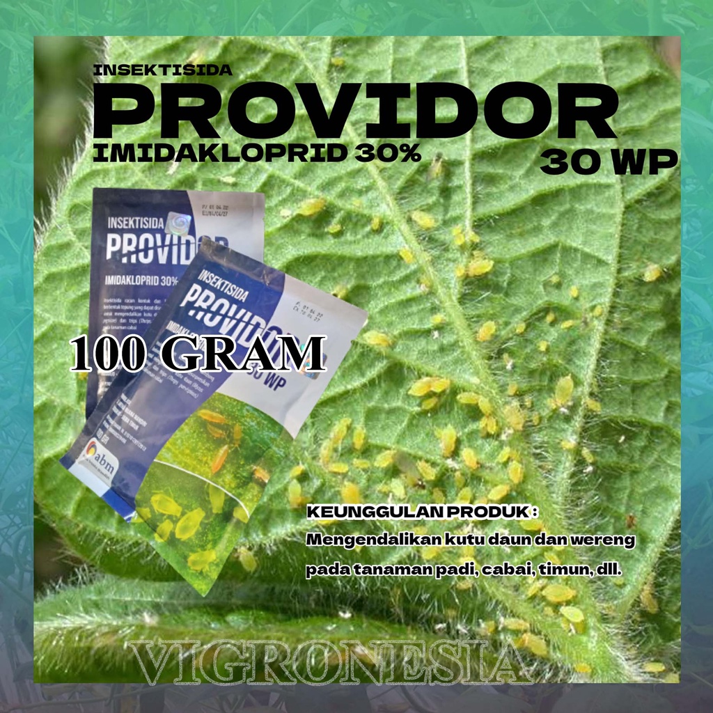 Jual Insektida Ampuh Providor 30WP 100 gram Pengendali Kutu Daun Wereng ...