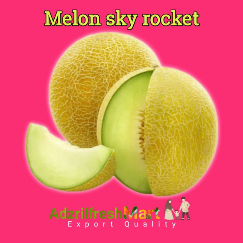 Jual BUAH MELON SKY ROCKET MELON MADU SIZE 1,2-1,5 -PER BUAH | Shopee ...