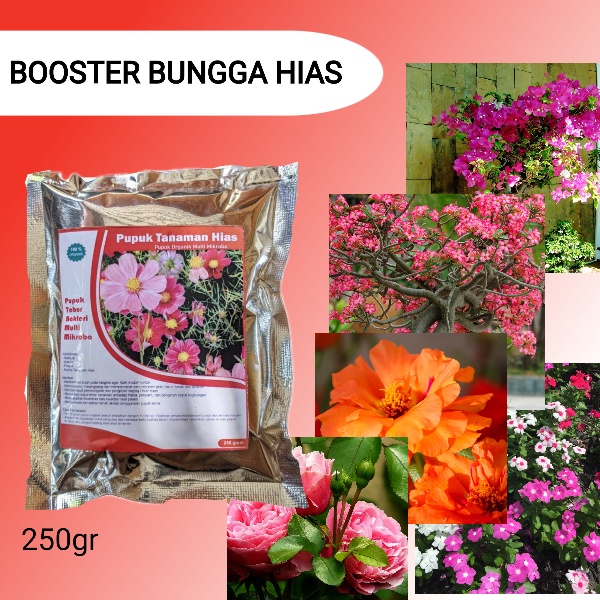 Jual Pupuk Organik Tanaman Hias Nutrisi Tanaman Bunga Agar cepat ...