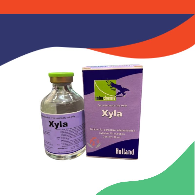 Jual petshopBFF Xyla 50 ml | Shopee Indonesia