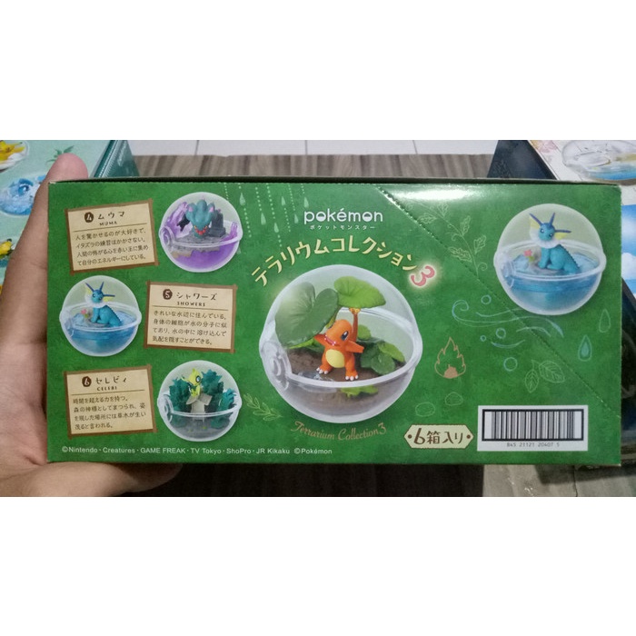 Jual BOX POKEMON TERRARIUM TERARIUM COMPLETE SET 6 CELEBI MISDREAVUS ...