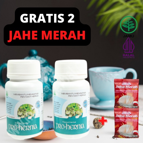 Jual Obat herbal Pro Hernia untuk Hernia atau turun bero dengan kapsul ...