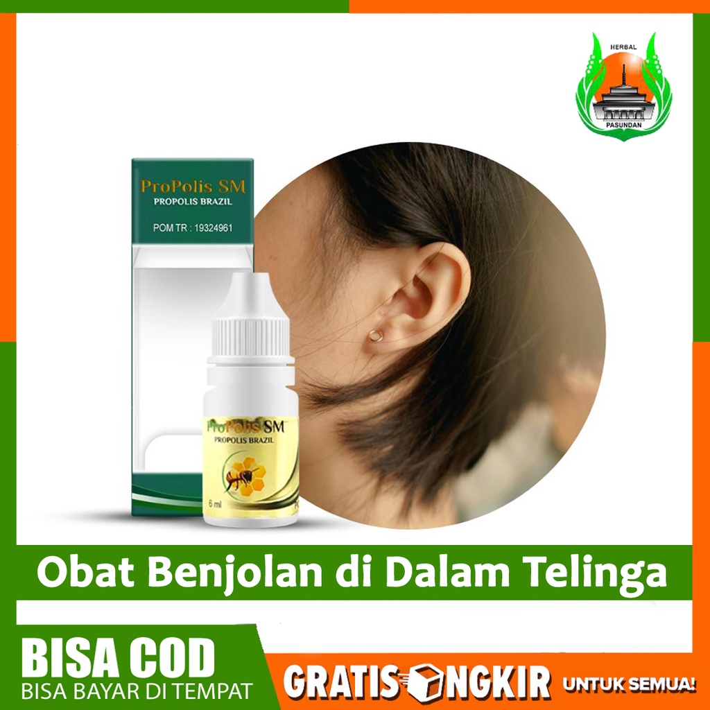Jual Obat Benjolan di Dalam Telinga Benjolan di Telinga Bisul di ...