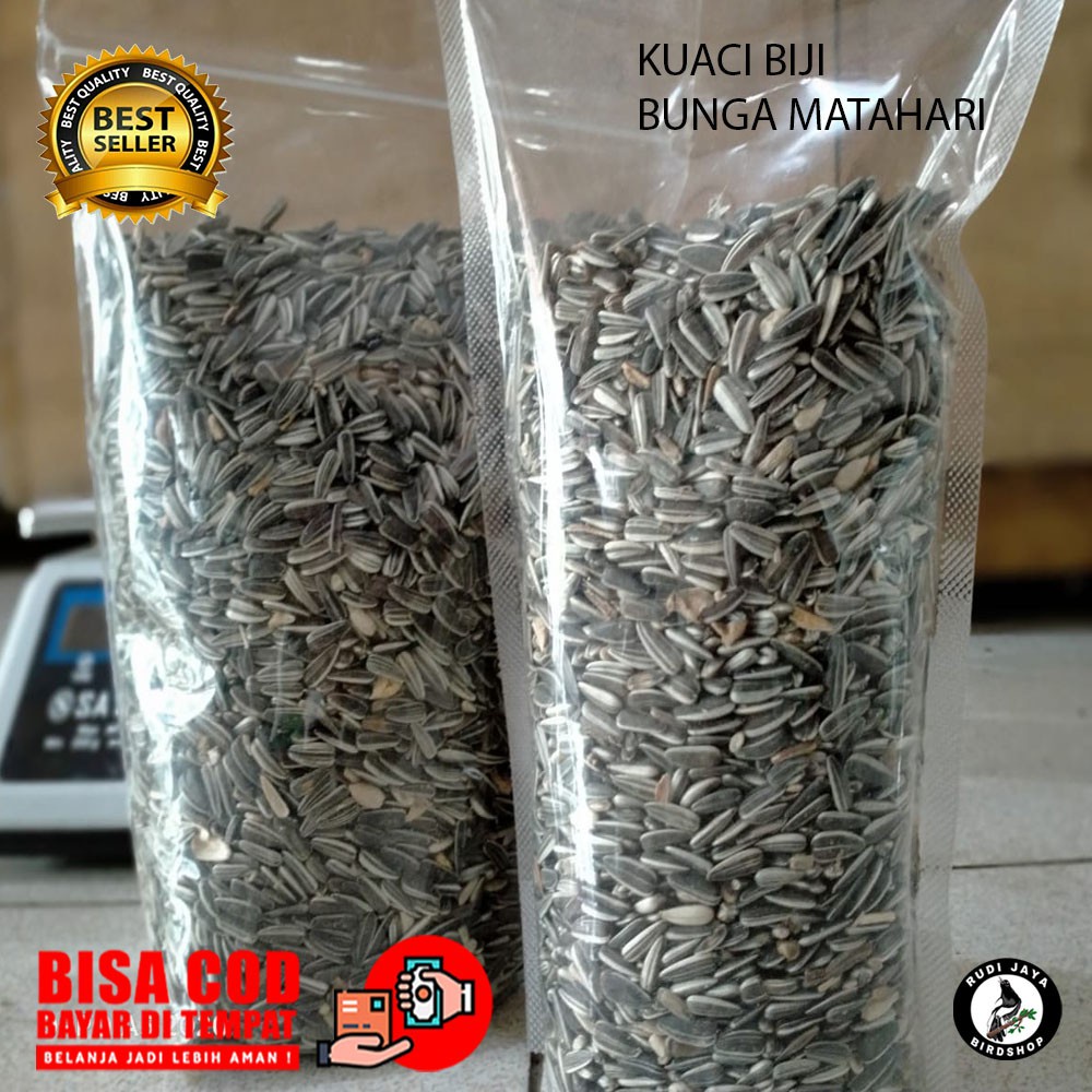 Jual READY KWACI KUACI BIASA / SANGRAI 100 BUNGA MATAHARI PREMIUM ...