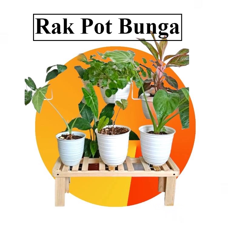 Jual Standing Pot Tanaman Kayu Termurah Standing Planter Kayu Taman ...