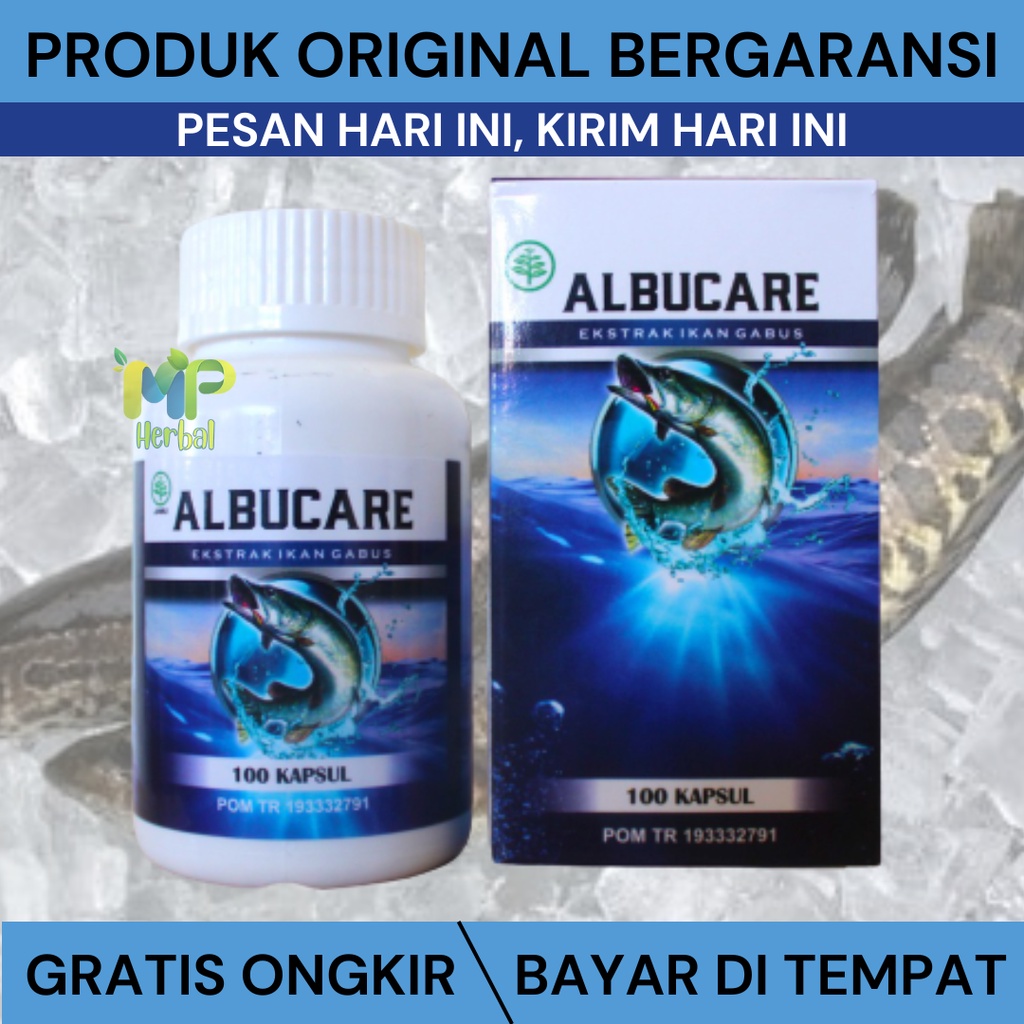 Jual ALBUCARE Kapsul Kutuk Ikan Gabus Mengandung Protein Albumin - Isi 100 Kapsul | Shopee Indonesia