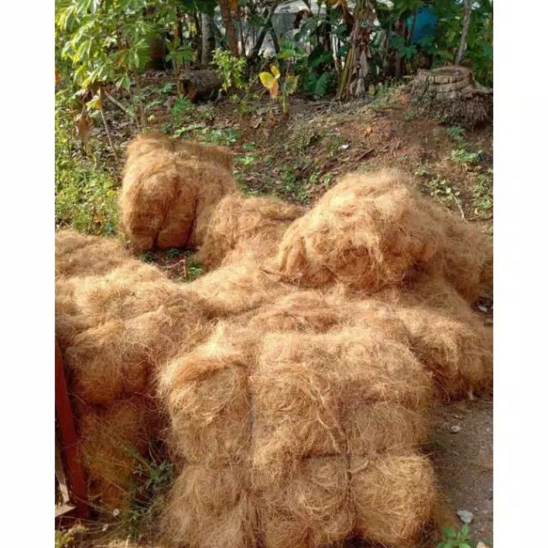 Jual Serabut Kelapa/Cocofiber/Media Tanam Anggrek 1kg | Shopee Indonesia