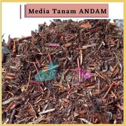Jual Sekarganes Media Tanam Andam Pakis Bambu Fermentasi Tanaman Pakis ...