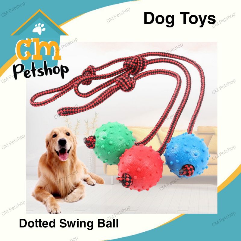 Jual Mainan Anjing Piercing Ball Dotted Swing Ball Lempar Bola Dog Toys ...