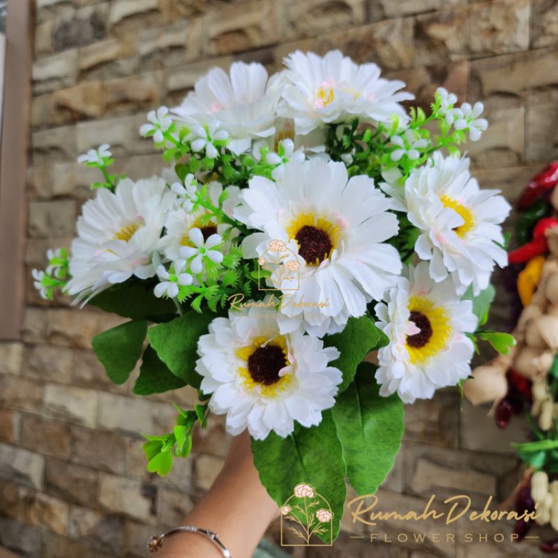 Jual Bunga Krisan Garbera Krisan x6 ( Tanpa Pot ) | Shopee Indonesia