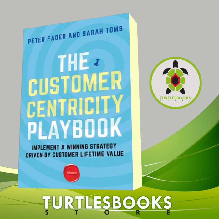 Jual The Customer Centricity Playbook: Implement a Winning Strategy ...