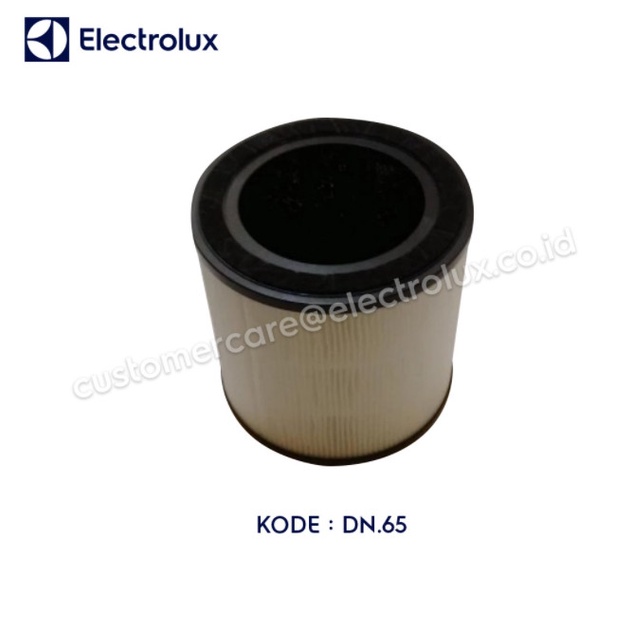 Jual Pure Filter Air Purifier Electrolux Fa31-202Gy Dn.65 | Shopee ...