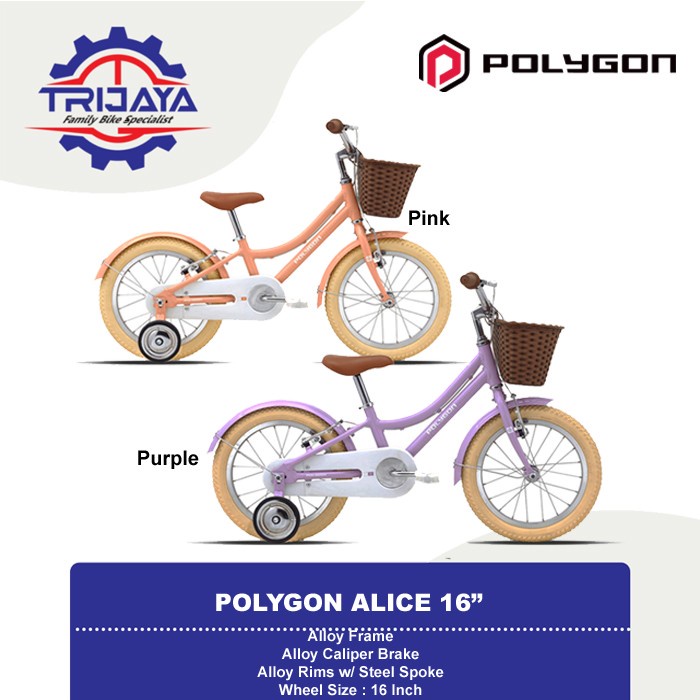 Jual Polygon Alice [16 inch] Sepeda Anak | Shopee Indonesia