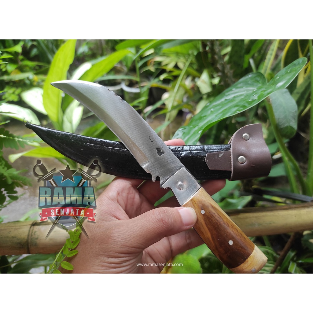 Jual PISAU DAPUR RAUT | Shopee Indonesia