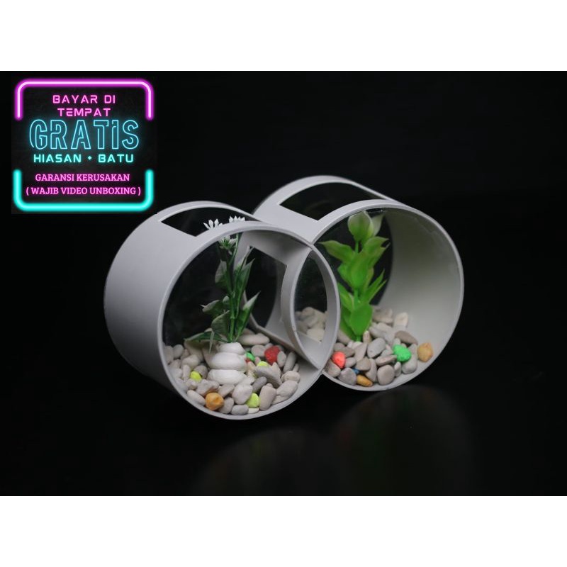 Jual aquarium mini unik akrilik pvc bulat double cupang,gapi,neon,ikan ...