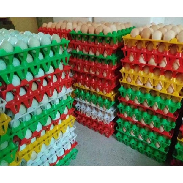 Jual Tempat telur PLASTIK /Egg tray PLASTIK ISI 30 butir - Biru - Merah ...