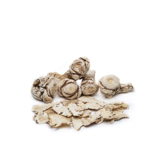 Jual Angelica Sinensis Dang Gui Tou Tong Kui Tau | Shopee Indonesia
