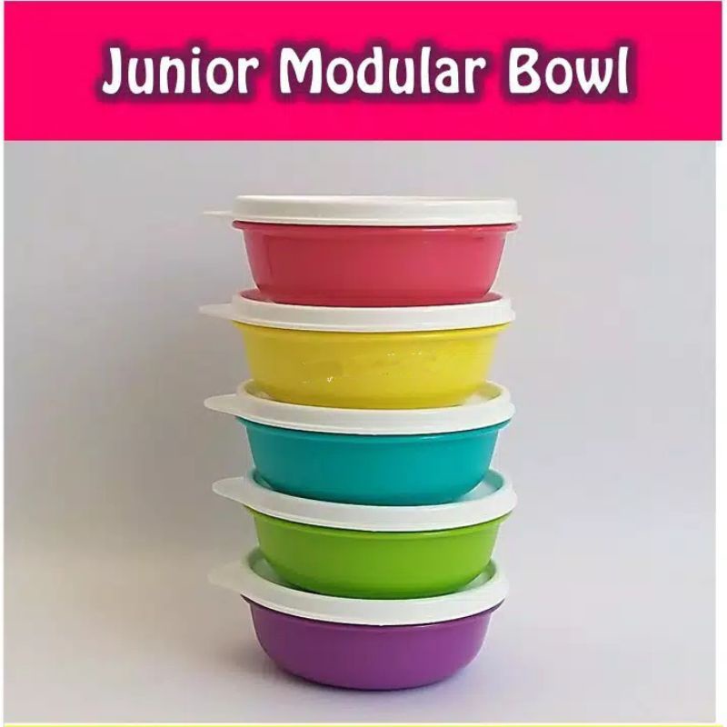 Jual Tupperware Junior Modular Bowl 300 ml. | Shopee Indonesia