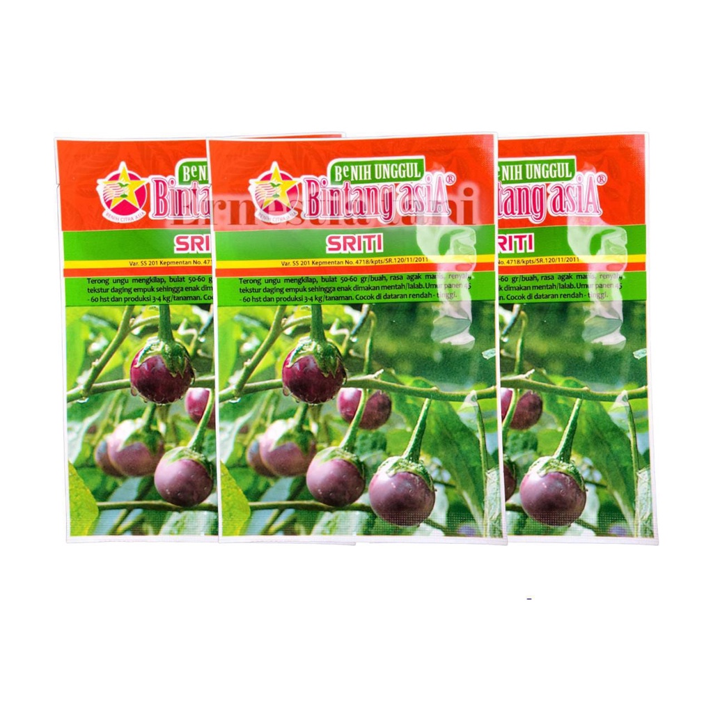 Jual Benih Bibit TERONG UNGU SRITI 10 Gram Bintang Asia 100% Original ...