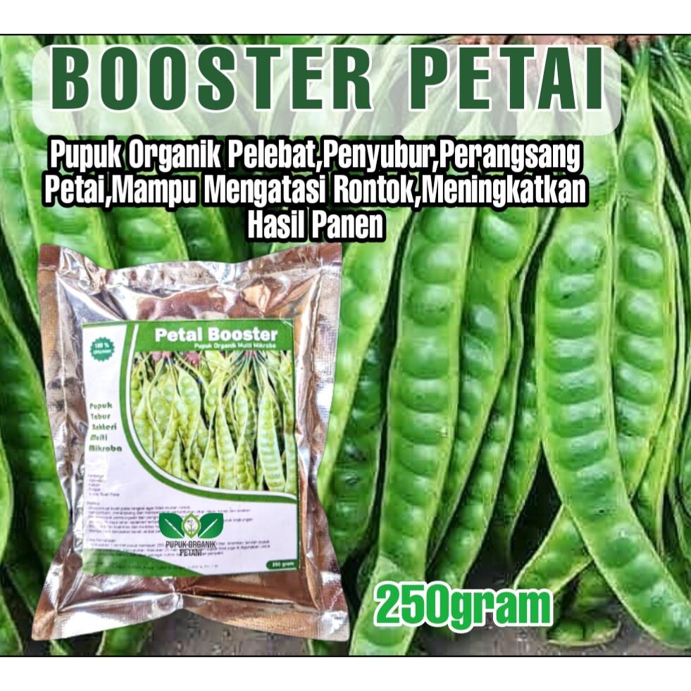 Jual Pupuk Organik Pelebat Petai Pete Perangsang Buah Penyubur Tanaman ...