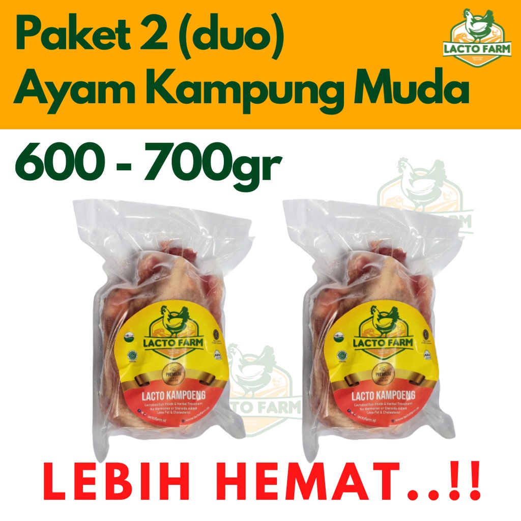 Jual Paket Hemat 2 Ayam Kampung Muda Probiotik Lacto Farm (600-700gr ...