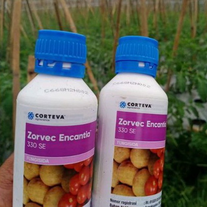 Jual Zorvect Encantia 330 SE (New Packing) | Shopee Indonesia