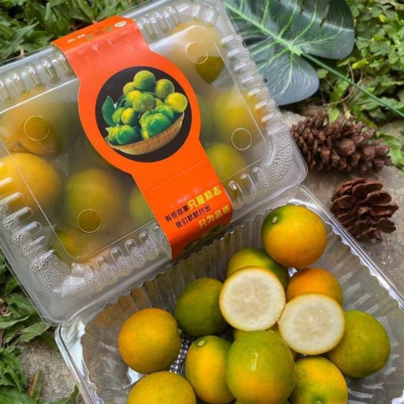 Jual Jeruk Kimkit Madu Honey Premium 1 Pack | Shopee Indonesia