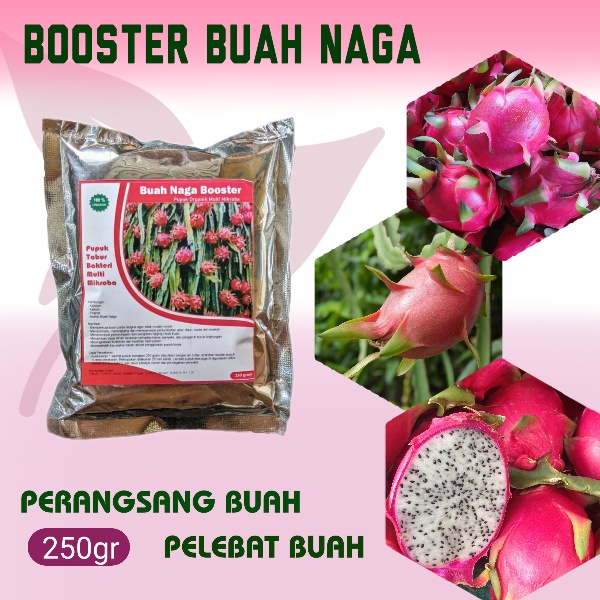 Jual Pupuk Booster Buah Naga Pelebat Buah Organik Agar Cebat Berbuah Lebat Obat Tanaman Buah ...